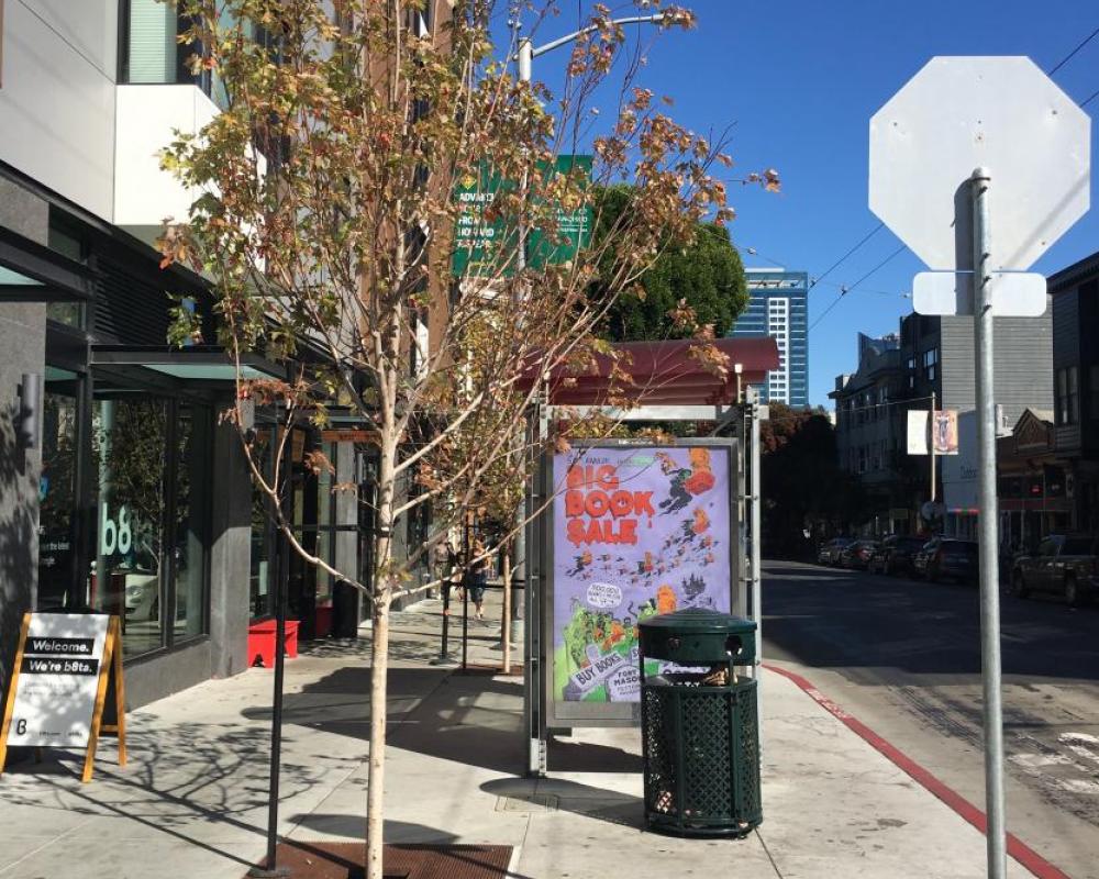 Octavia Boulevard Enhancement Program | SFMTA