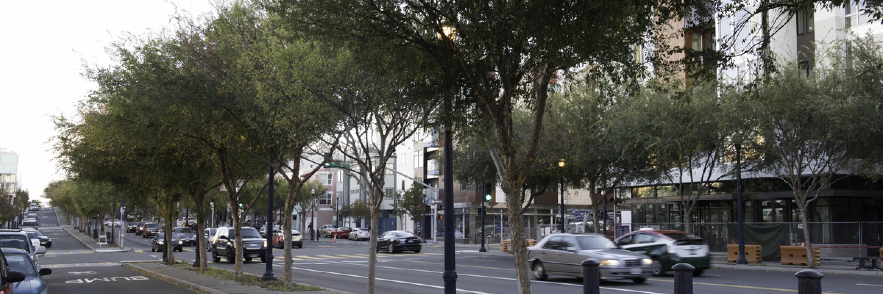 Octavia Boulevard Enhancement Program | SFMTA